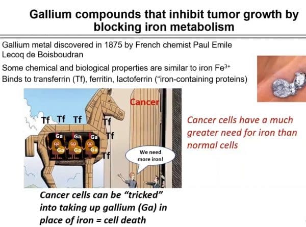 Anti-Cancer mechanism of Gallium Maltolate explained by Dr.Christopher ...